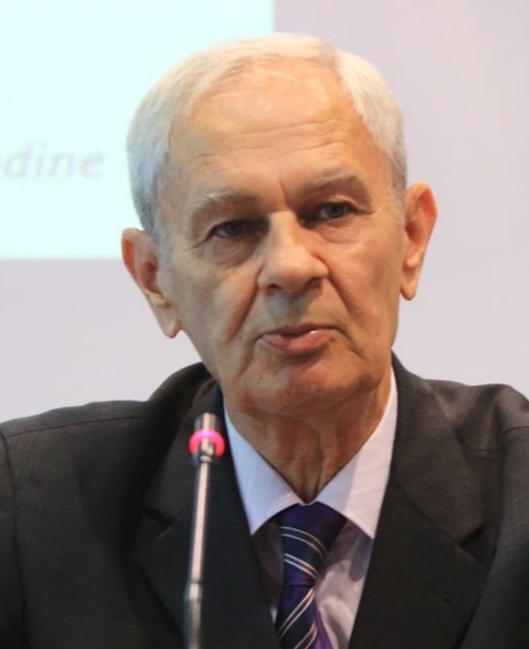 SALKO (HASAN) BEGIĆ - Bakije