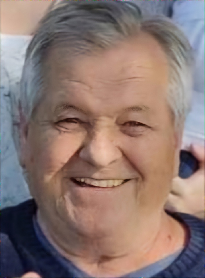 IZET (HAMDIJA) KAROVIĆ - Bakije