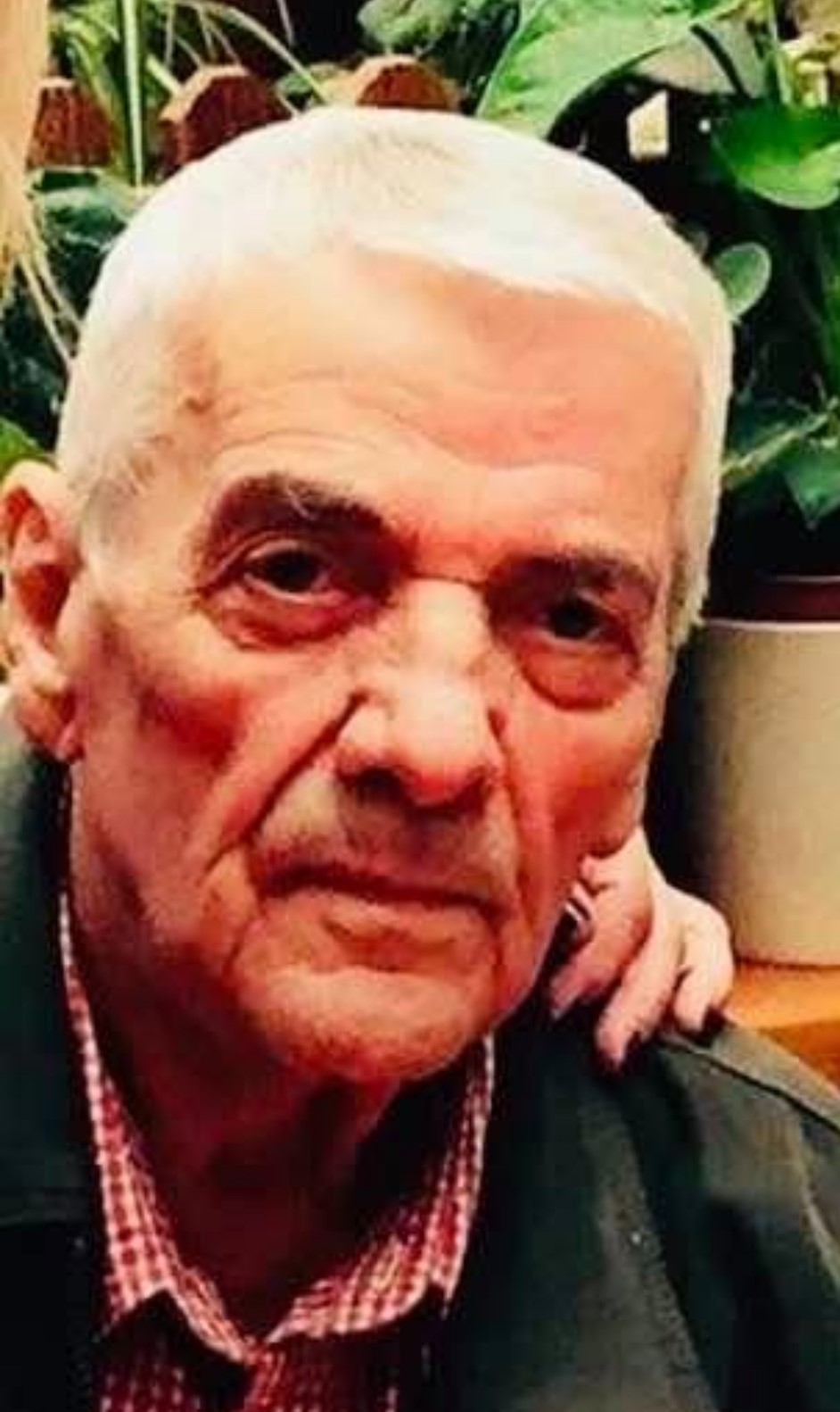 SMAILJ-Smajo (OMER) ALIVODIĆ - Bakije