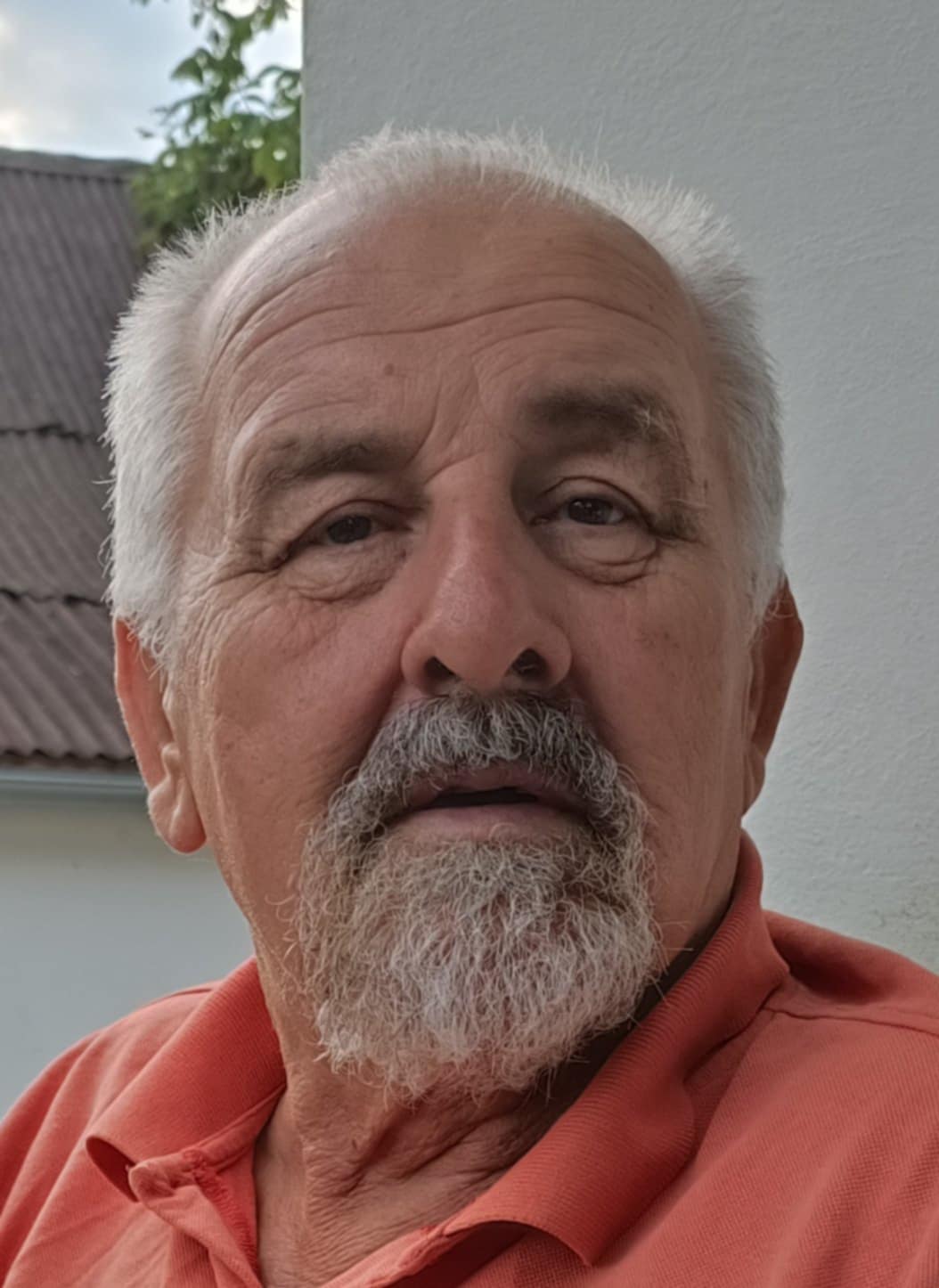 RAIF (IBRO) ZULČIĆ - Bakije